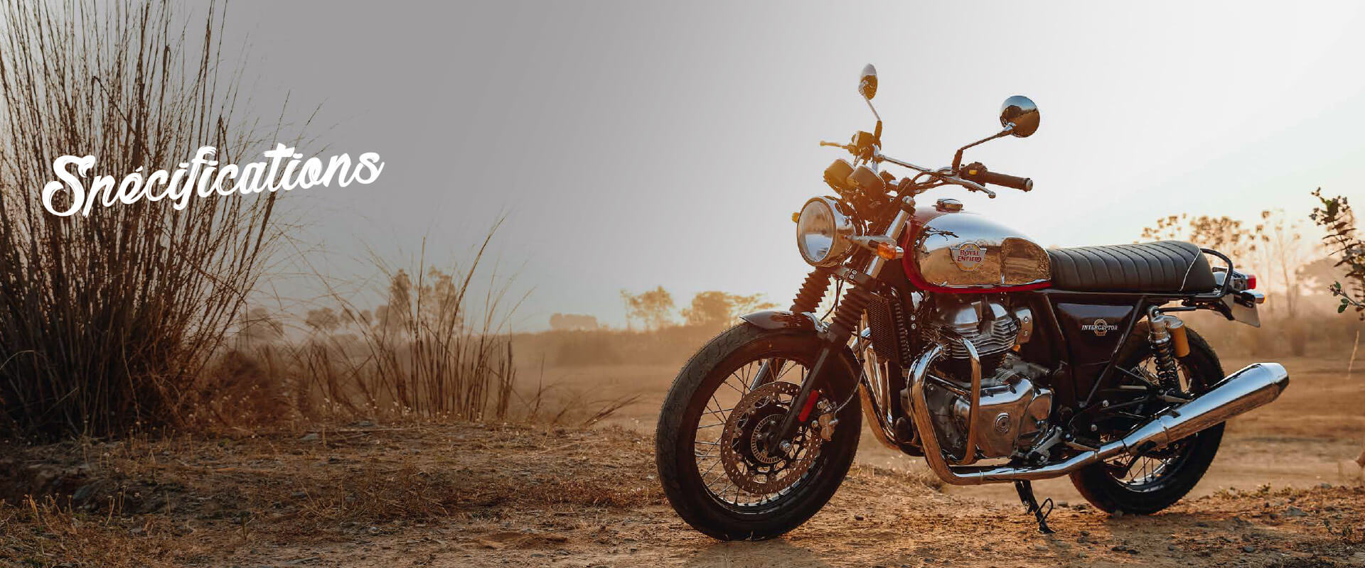 RE Interceptor Prix, Couleurs, Images & kilométrage en France | Royal ...