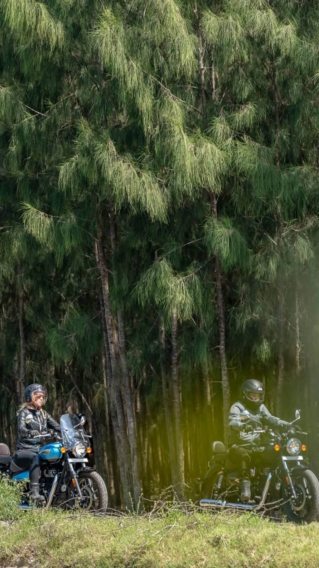 RE Meteor 350 Price, Colours, Images & Mileage in India | Royal Enfield
