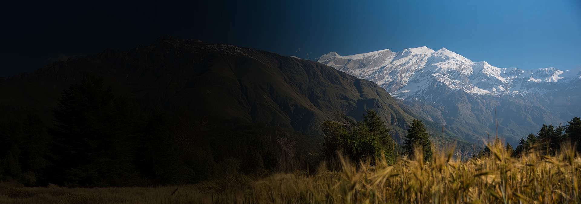 Himalayan Adventure Mustang 2025 | Motorcycle Tour | Royal Enfield ...
