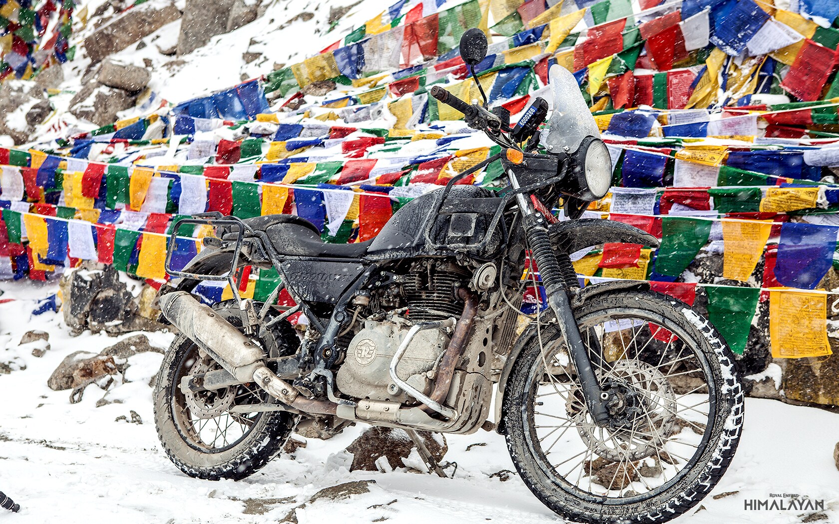 Royal Enfield Himalayan Motorcycle - The Himalayan is here.