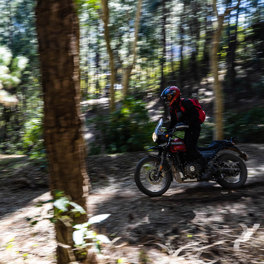 Himalayan 411 CC - Colours, Specifications, Reviews, Gallery | Royal ...