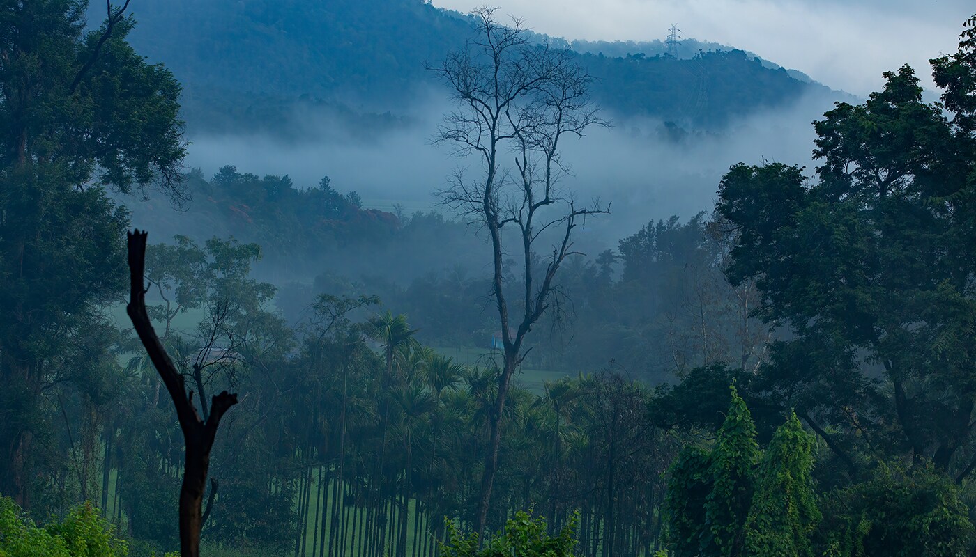 Wayanad
